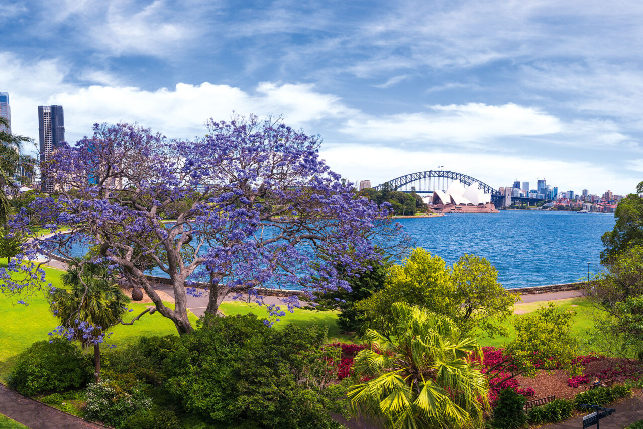 Royal Botanic Garden - Sydney Travel Guide