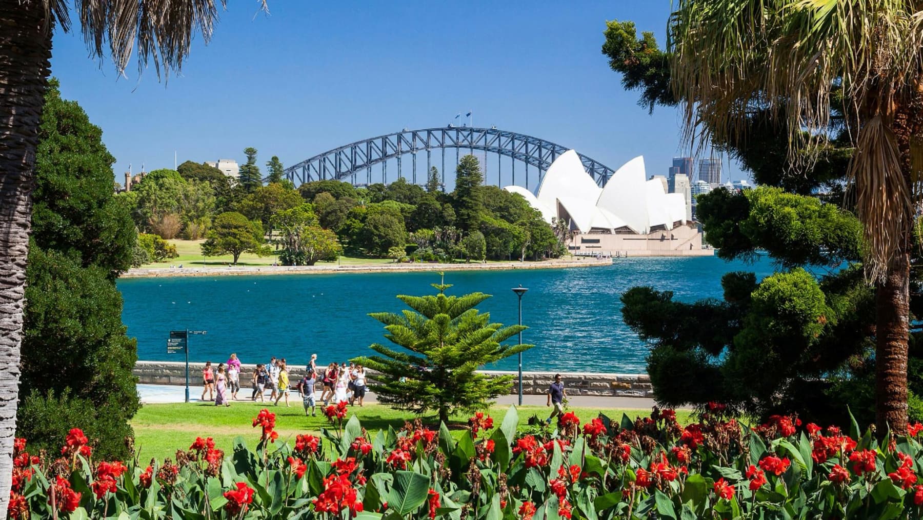 15 romantic things to do in Sydney for couples