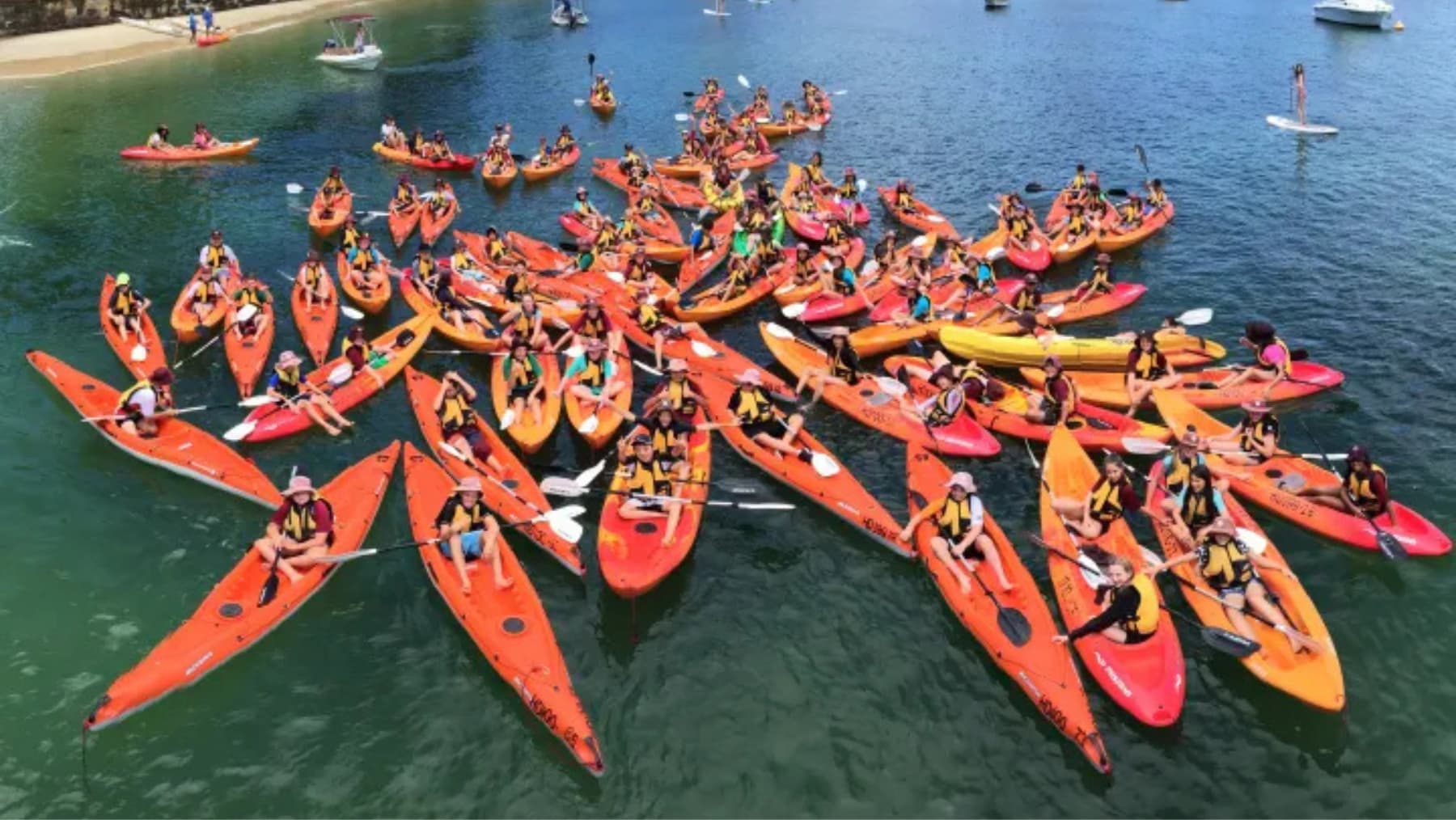 Things to do in Manly: The ultimate guide - Sydney Travel Guide
