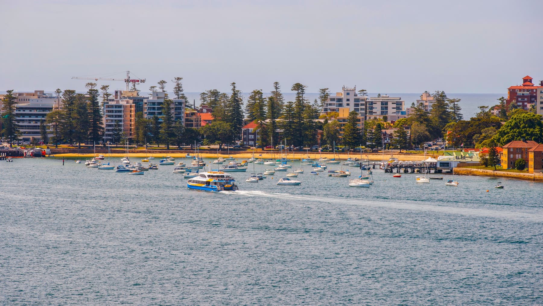 Things to do in Manly: The ultimate guide - Sydney Travel Guide