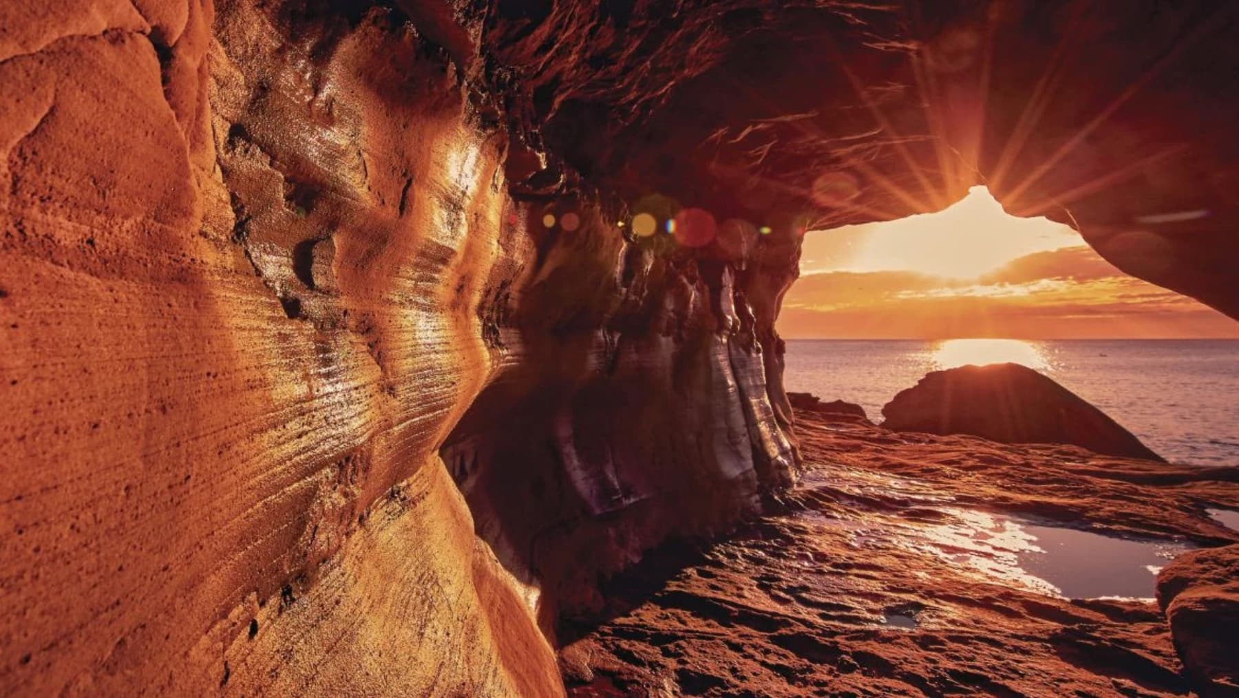 Top Things to Do in Manly: The Ultimate List