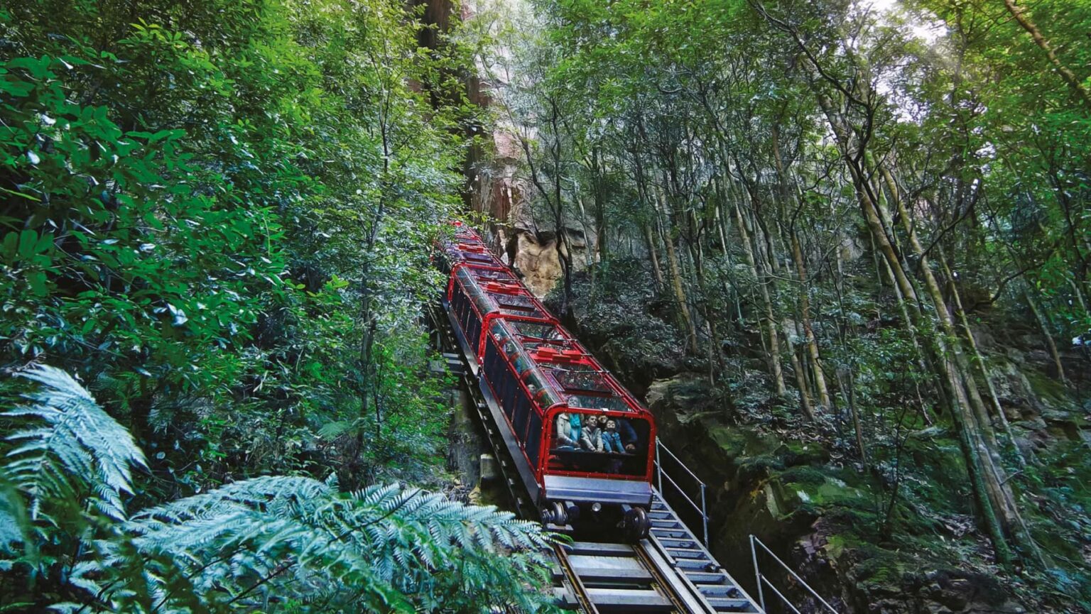 Blue Mountains Lights: Nocturnal at Scenic World