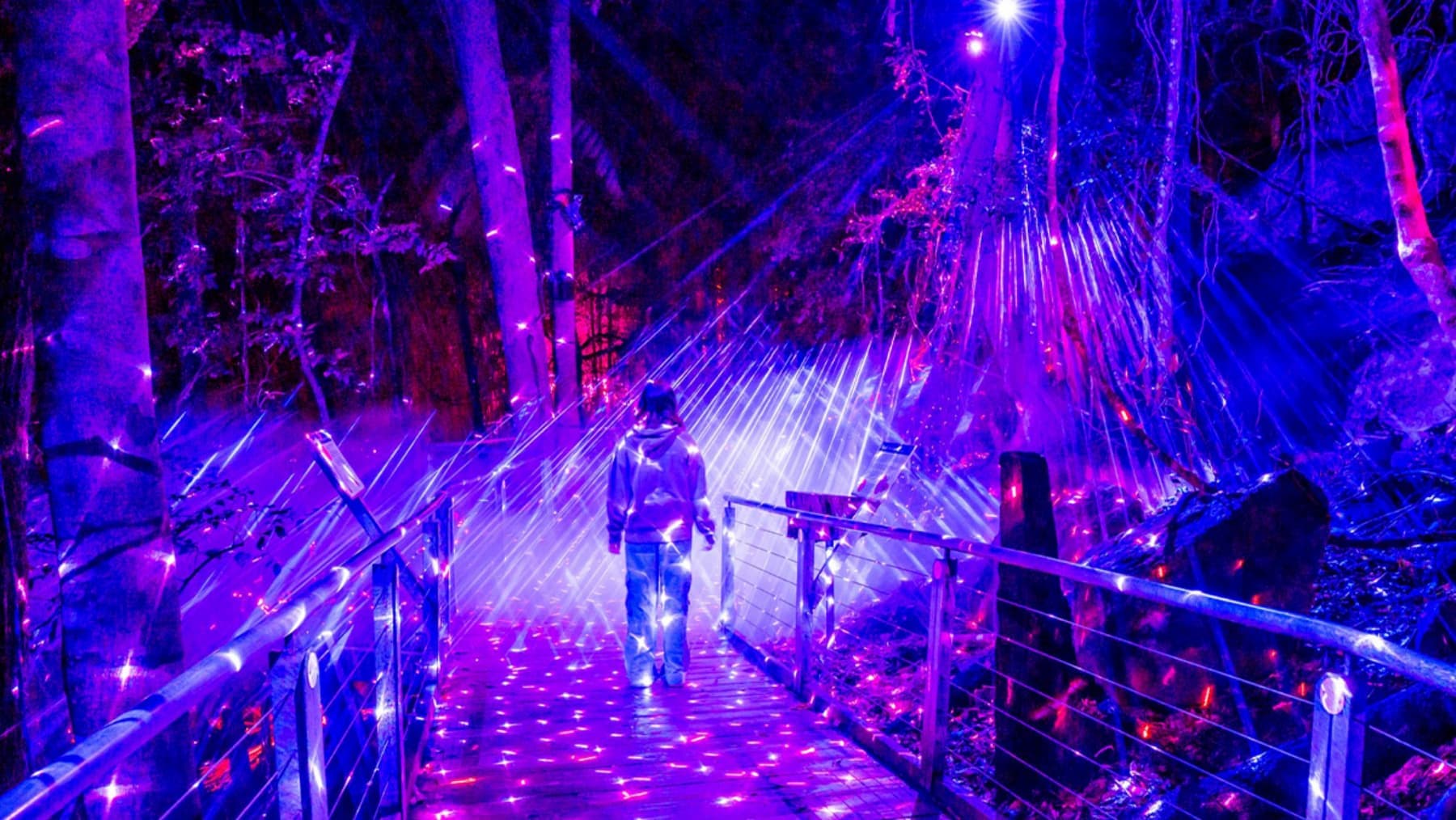 Blue Mountains Lights: Nocturnal at Scenic World