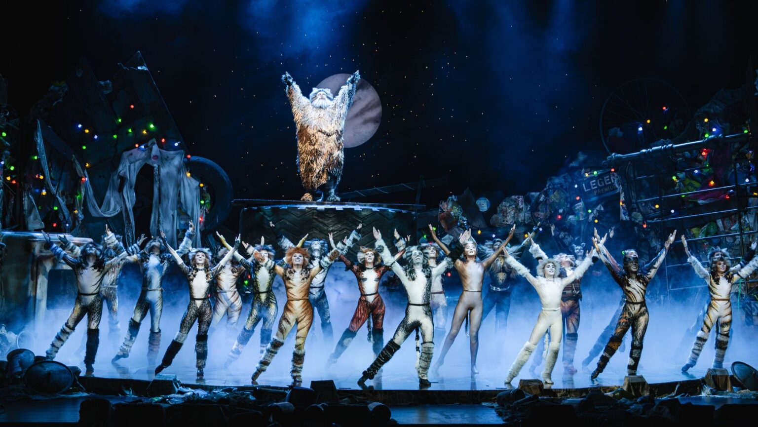 CATS is Back in Sydney! 20 Fun Facts About the World-Famous Musical