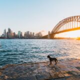 20 Things to do in Sydney in November - Sydney Travel Guide