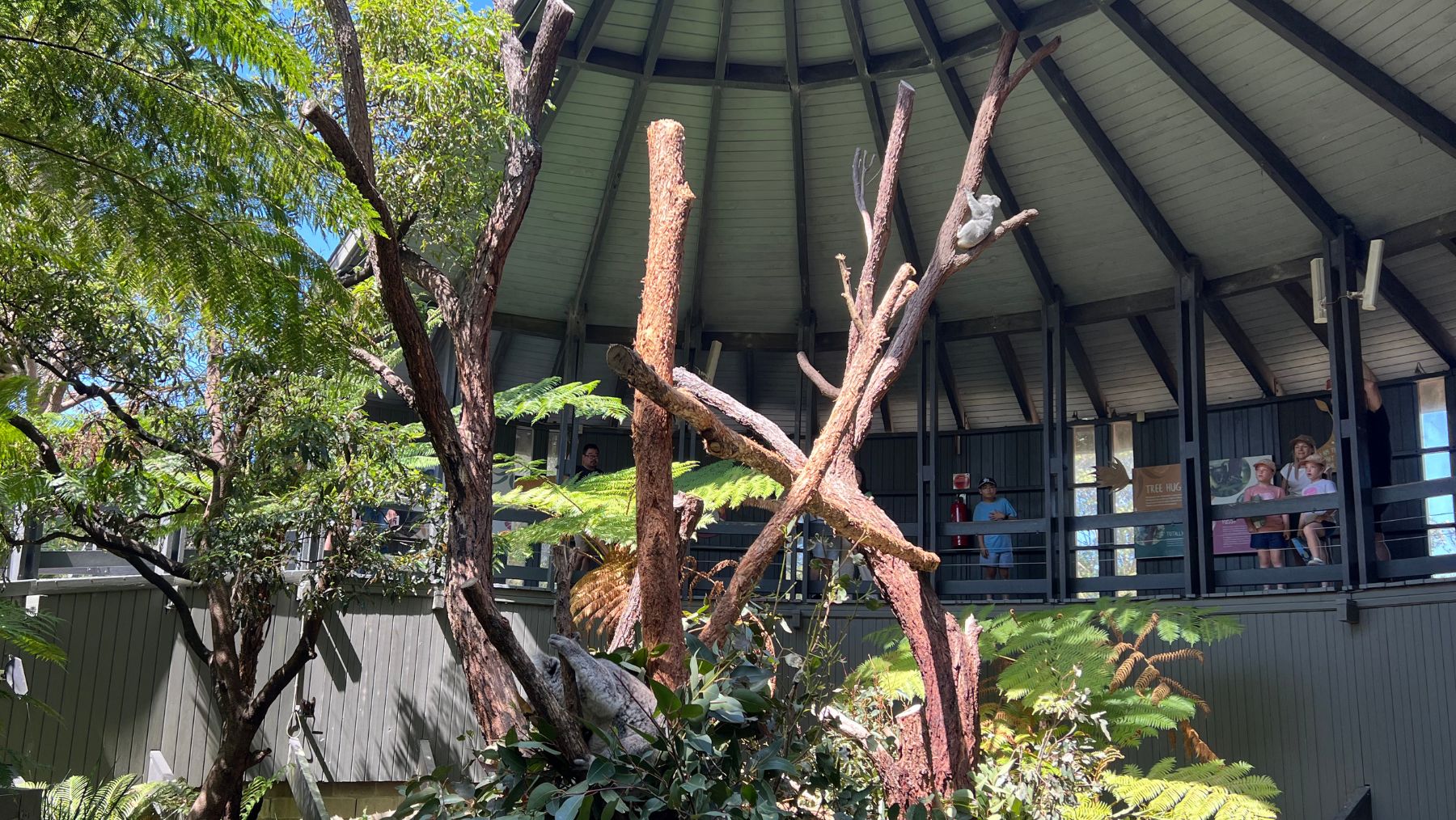School holidays at Taronga Zoo - Sydney Travel Guide