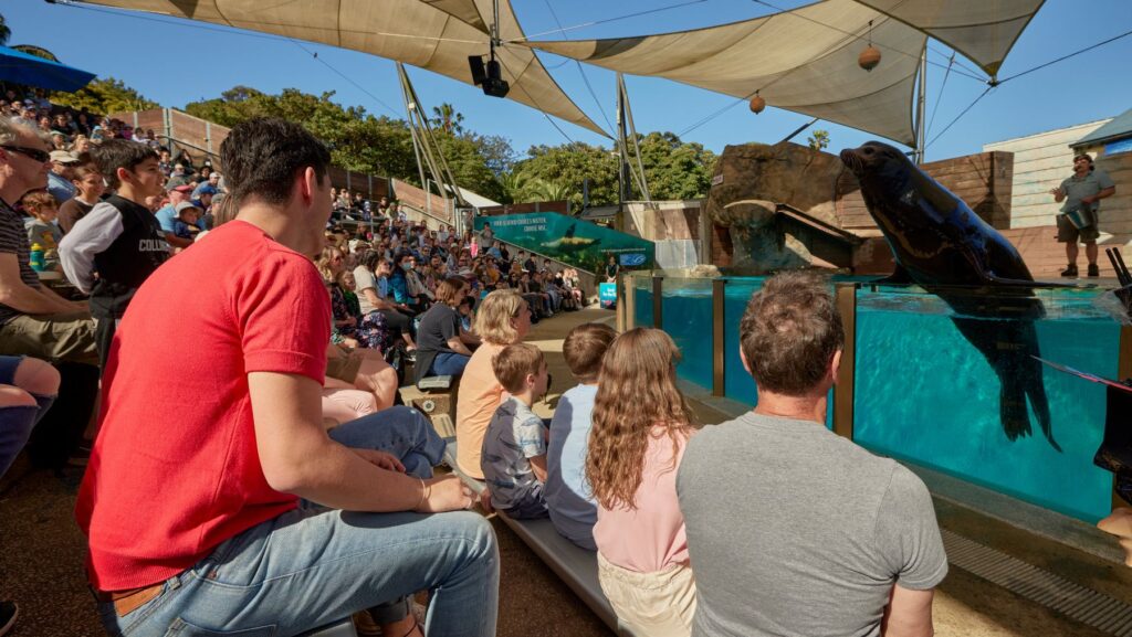 Taronga Zoo - Sydney Travel Guide