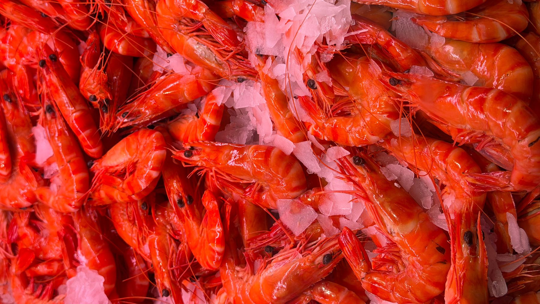 The new Sydney Fish Market has officially opened its doors - Sydney ...